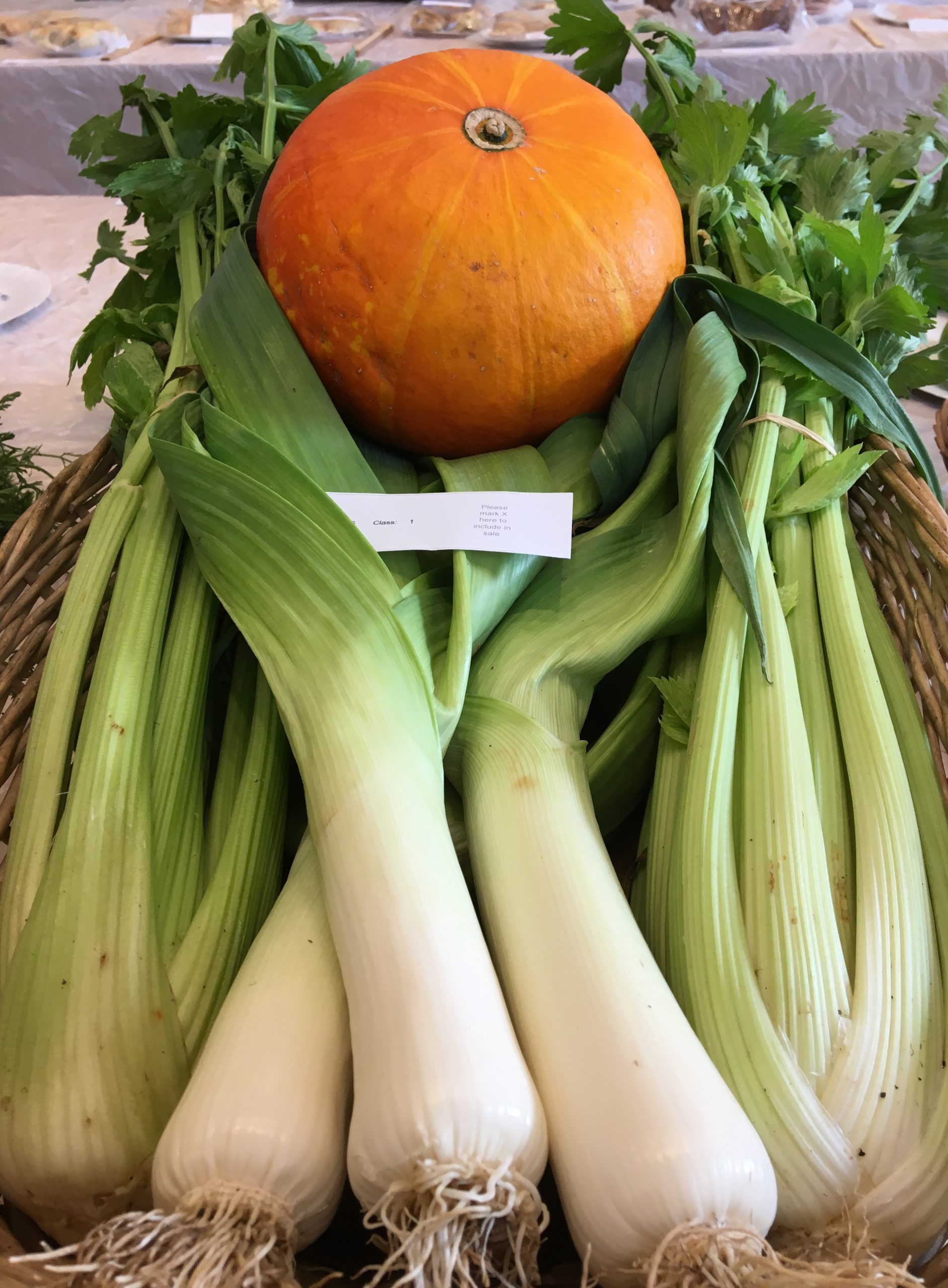 Backwell Village Show 2023 – Saturday Sept 16th – Free to Enter, Free ...