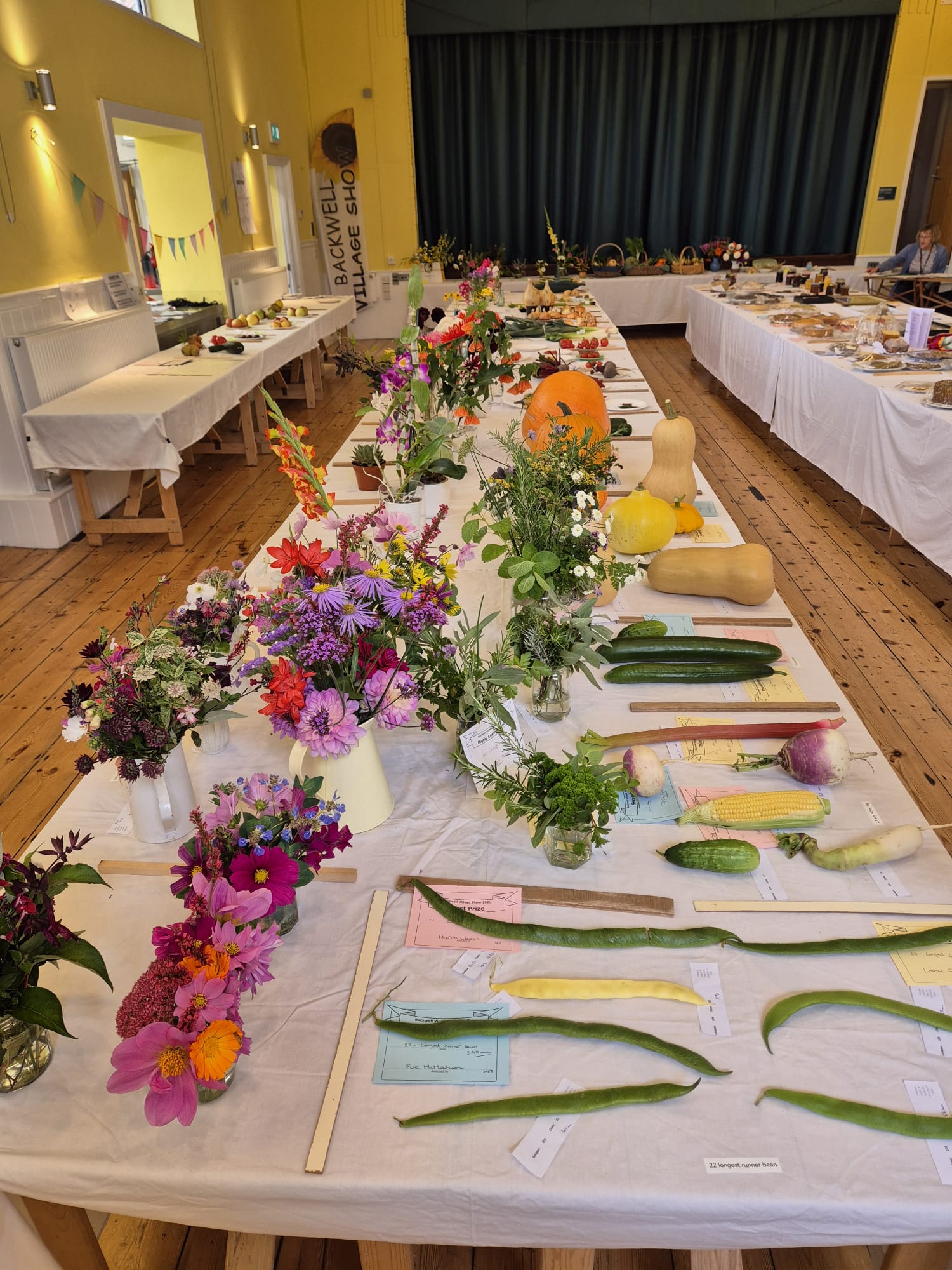 Home - Backwell Village Show