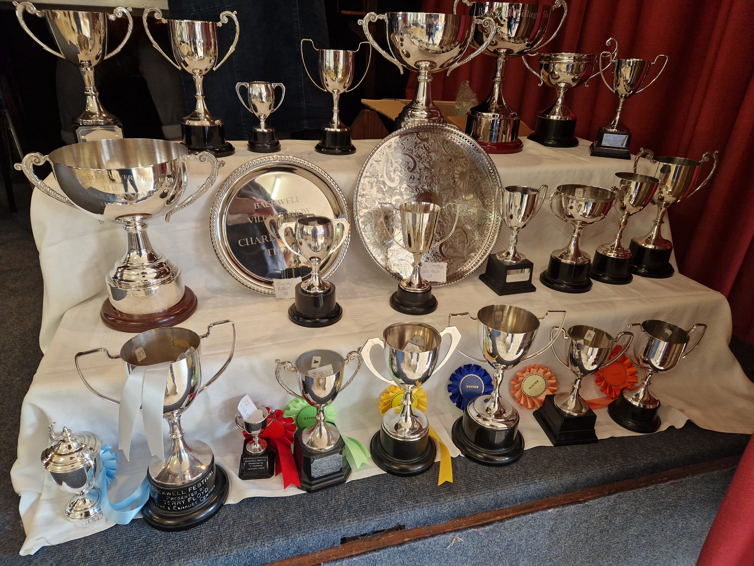 Prizes - Backwell Village Show